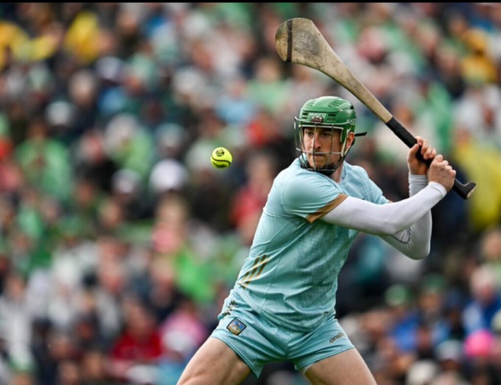 2024 Munster GAA Awards – Sarsfields named Munster Club of the Year ...