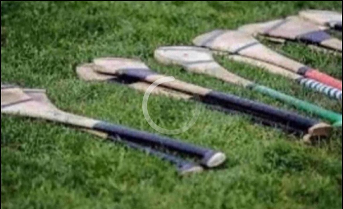 D5E7C54C-9C30-4B2E-83F4-8776614AA578 | Limerick GAA