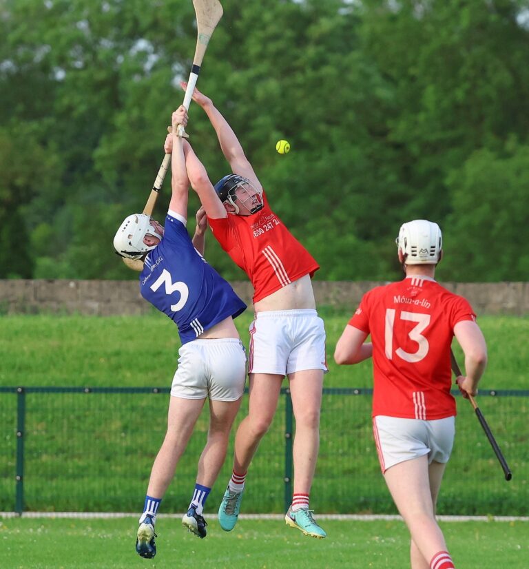 Action shots from the recent Hurling league division 5 game between ...